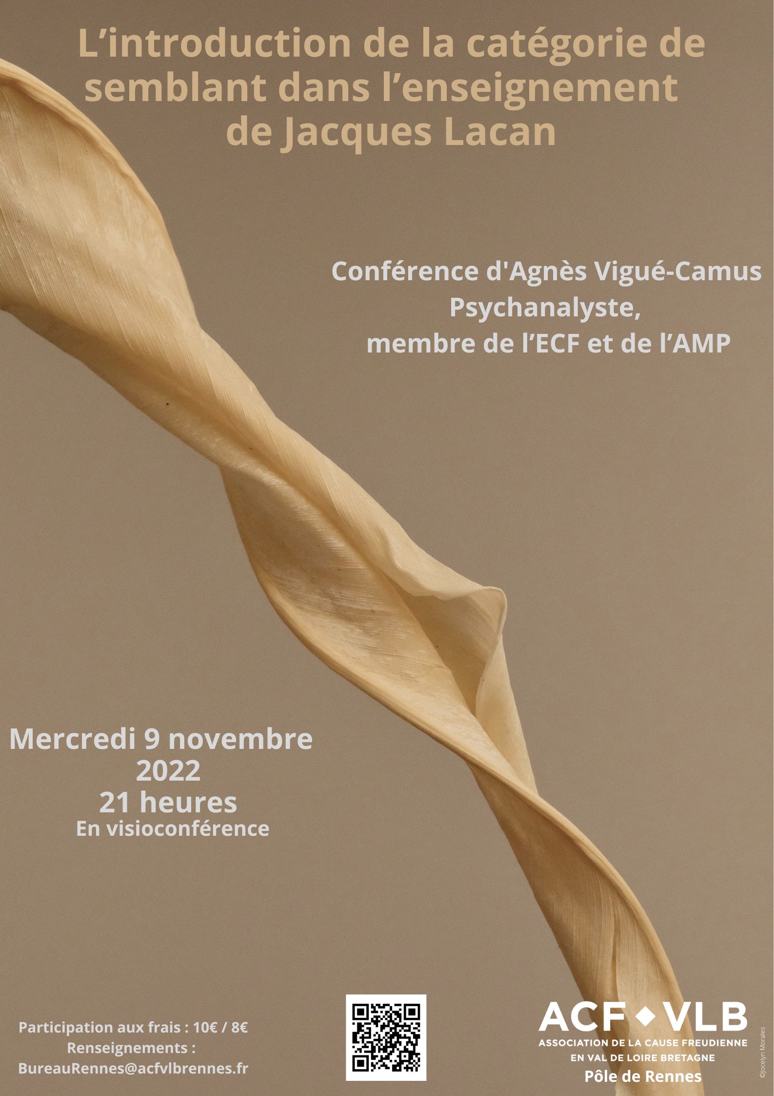 L'introduction de la catégorie de semblant dans l'enseignement de ...